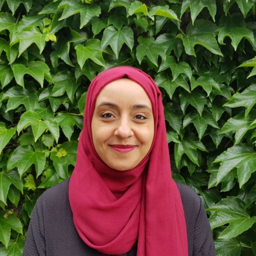 Learn more about ICAT