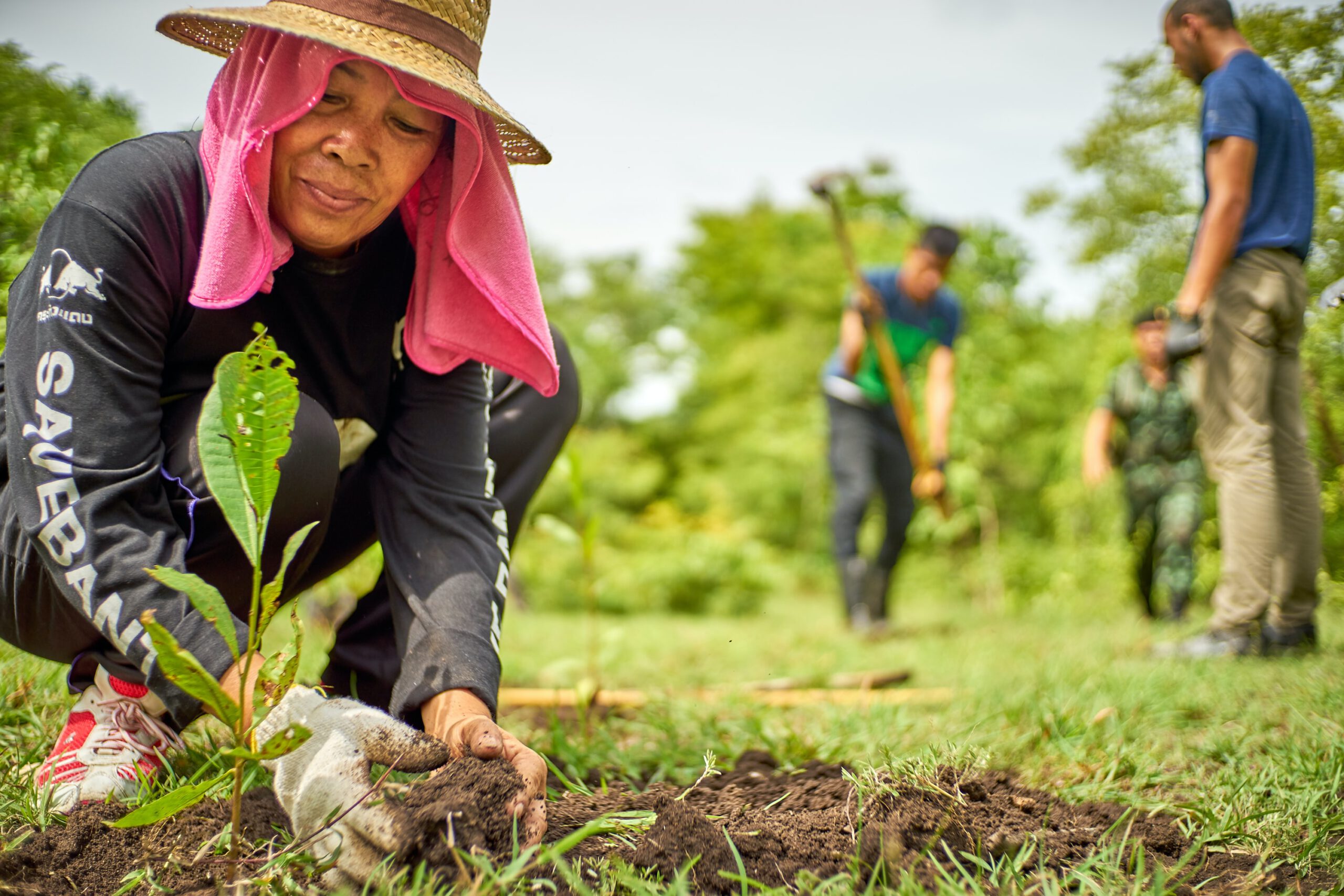 New practical guide helps countries report on adaptation through the ...