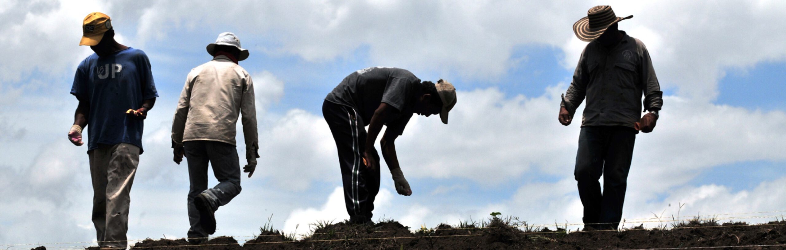 Opportunity: Technical Working Groups and Review Groups - ICAT