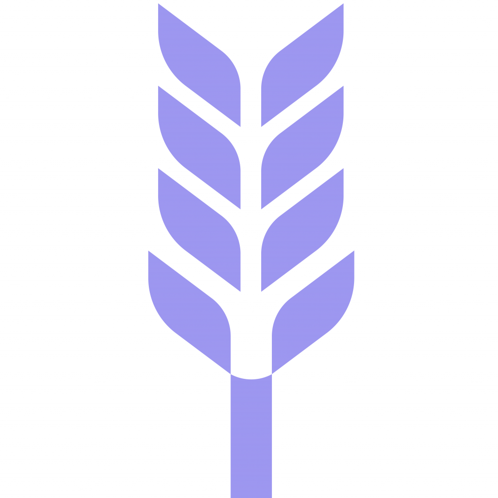 Pilot Projects - ICAT