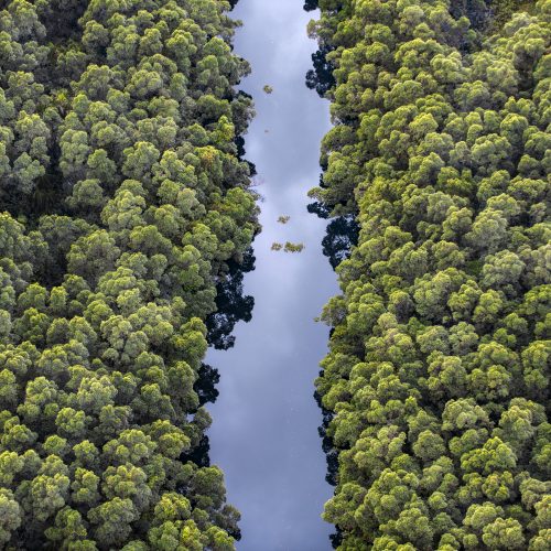 Brazil kicks off just transition tracking project - ICAT