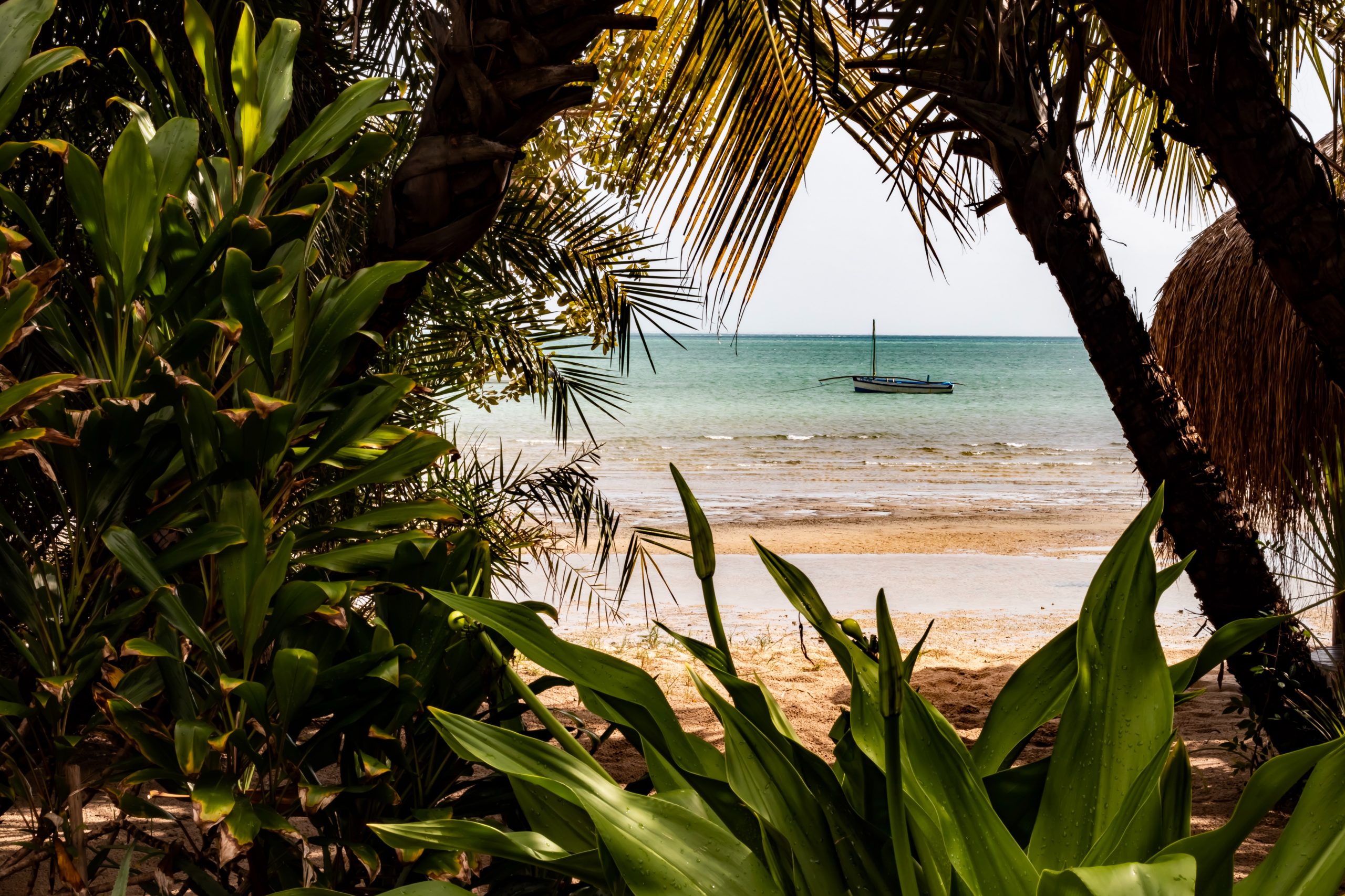 Transparency reaches new level in Mozambique - ICAT