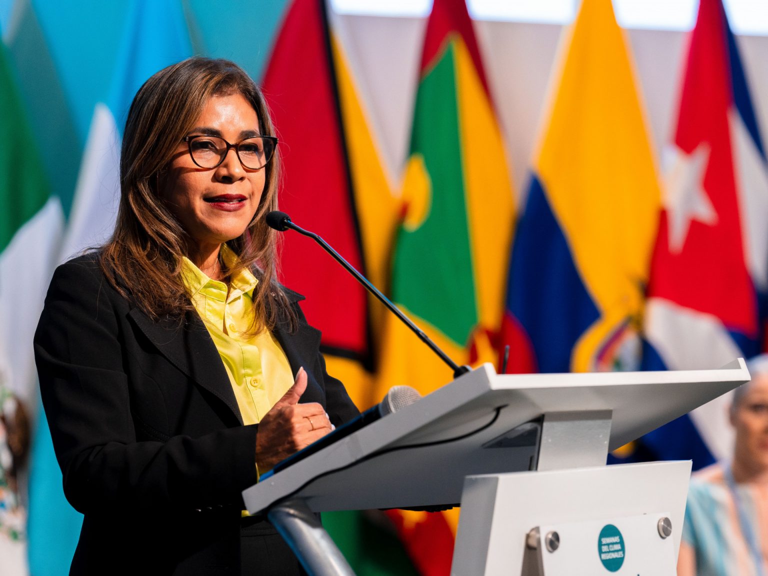 Enhancing Climate Transparency in Latin America and the Caribbean - ICAT