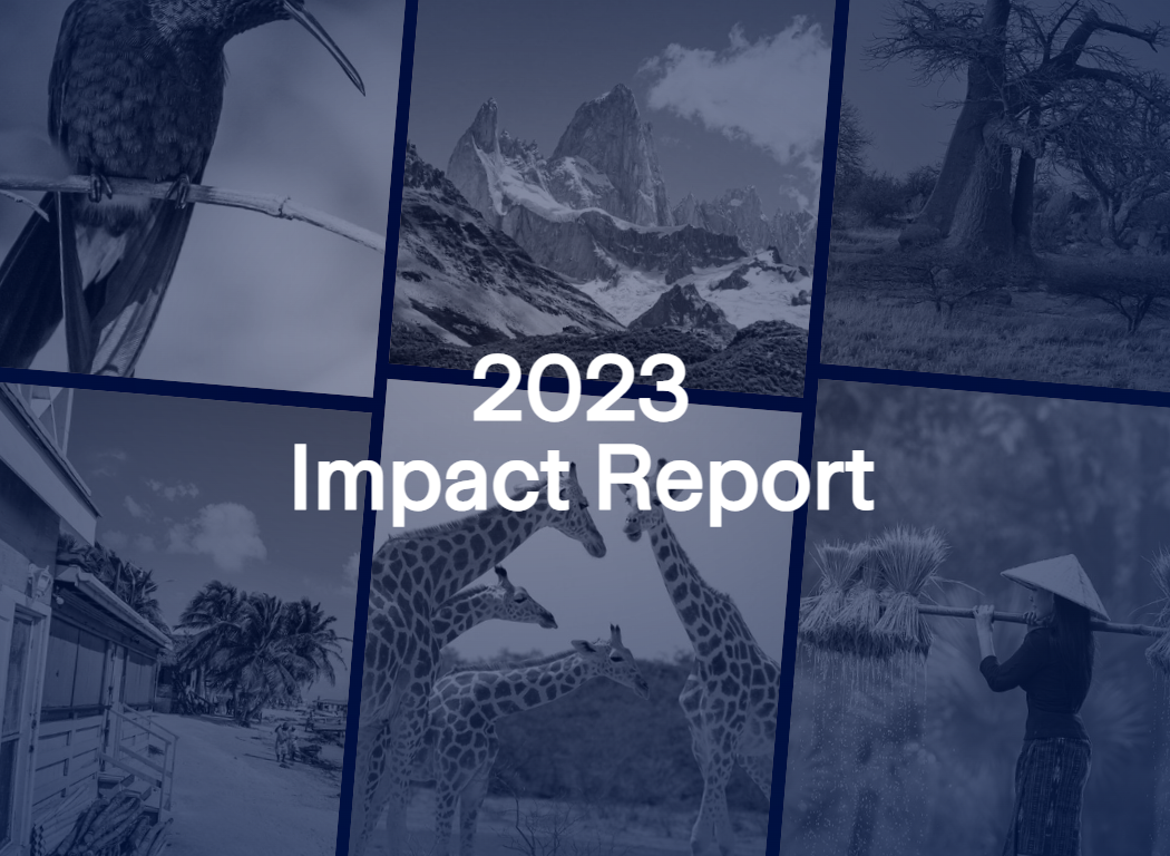Out now: 2023 ICAT Impact report - ICAT