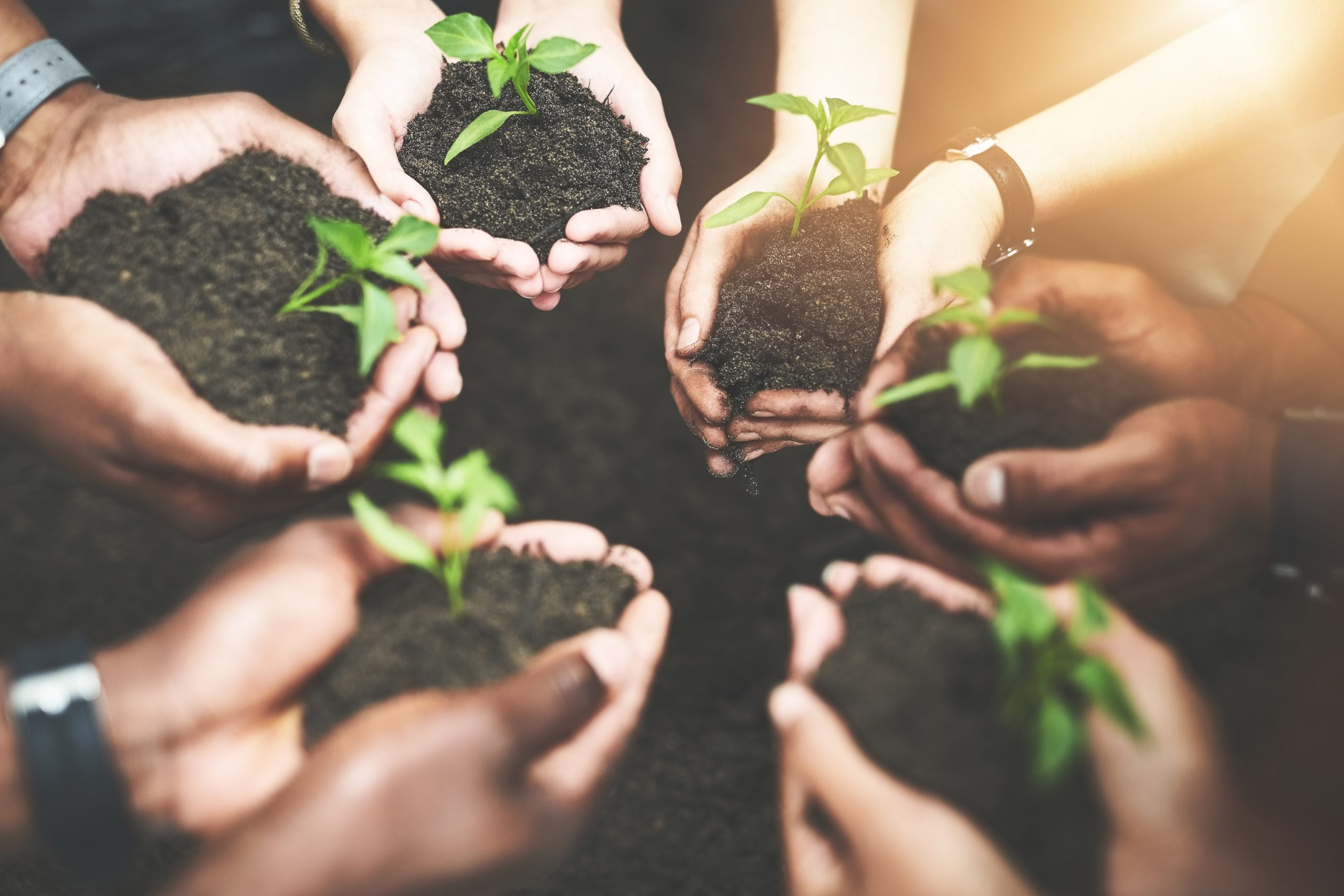 Call for Proposals: Grant for technical support to increase ...