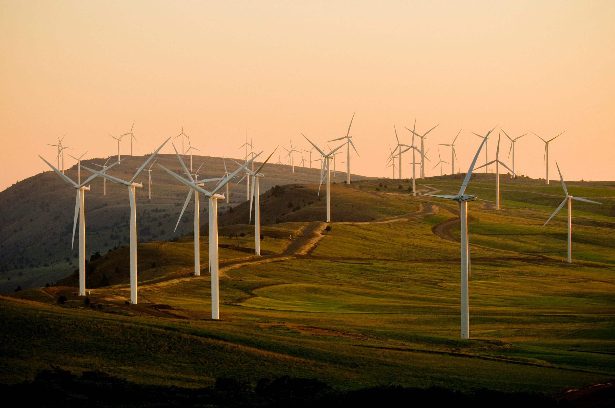 Learning to apply ICAT’s suite of practical tools and methodologies